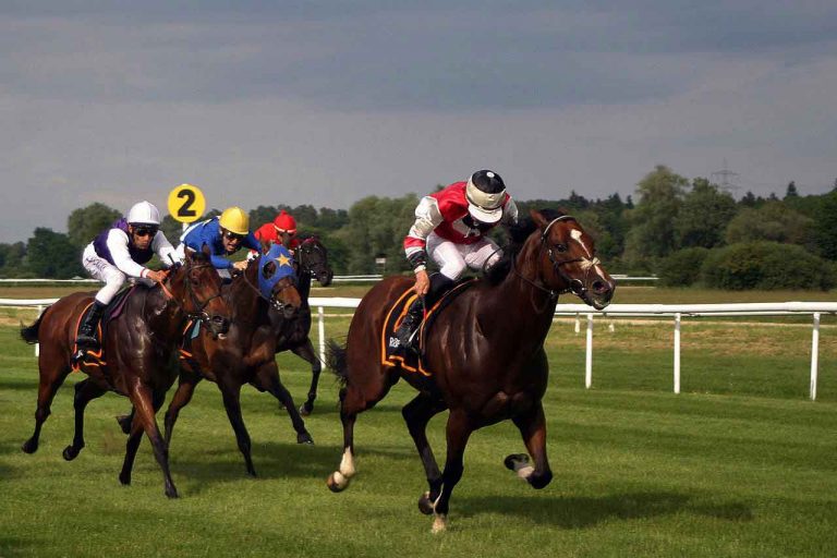 The Famous Singapore Horse Racing | Transfez